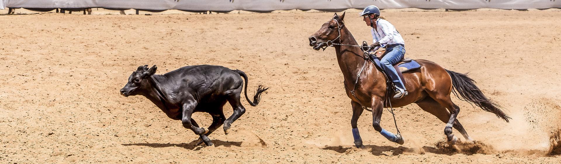 Tamworth – Veranstaltungen, Reiten und Musik Tamworth – Veranstaltungen, Reiten und Musik